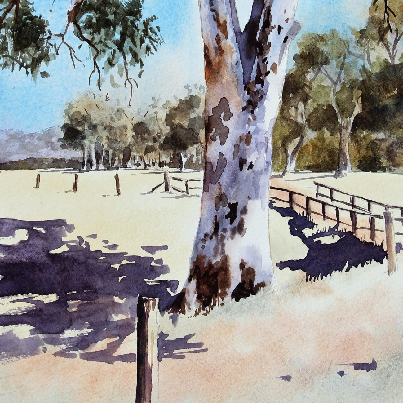 Australian Gum Tree - Renata Wright Art Perth WA