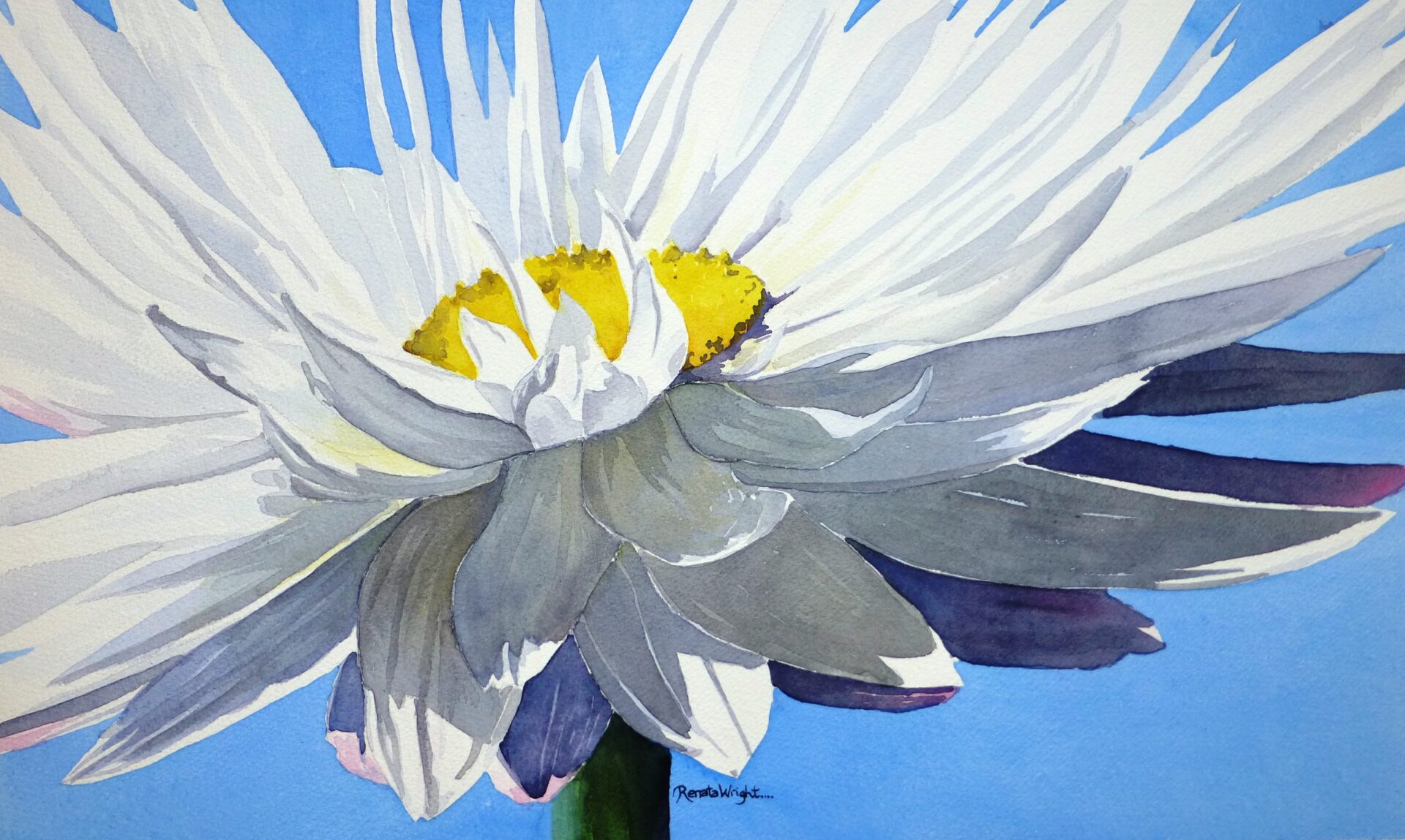 Watercolour Classes and Workshops - Renata Wright Art Perth WA