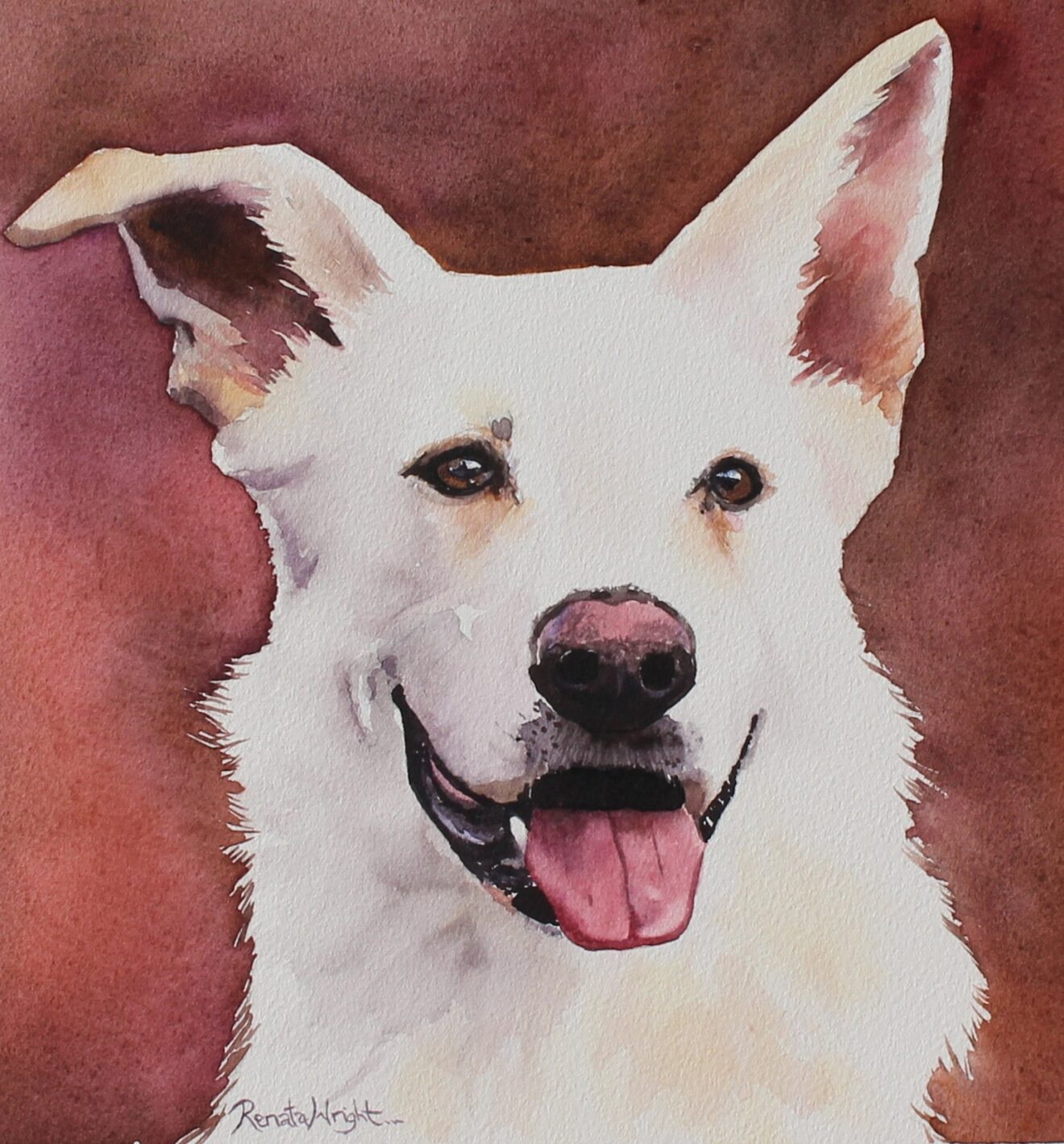 Watercolour Classes and Workshops - Renata Wright Art Perth WA